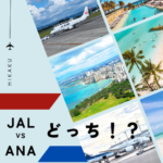 ANA vs JALどっち？サービスや料金を10コの項目で徹底比較！